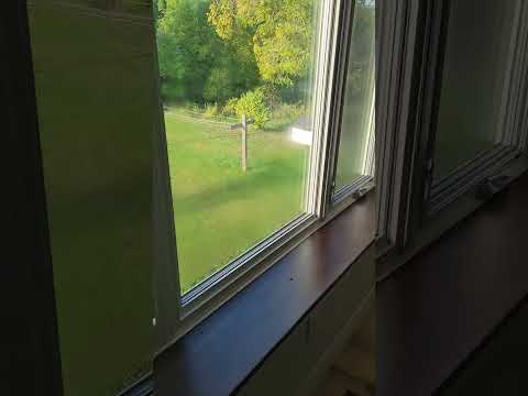 What I HATE about Triple Pane Windows!