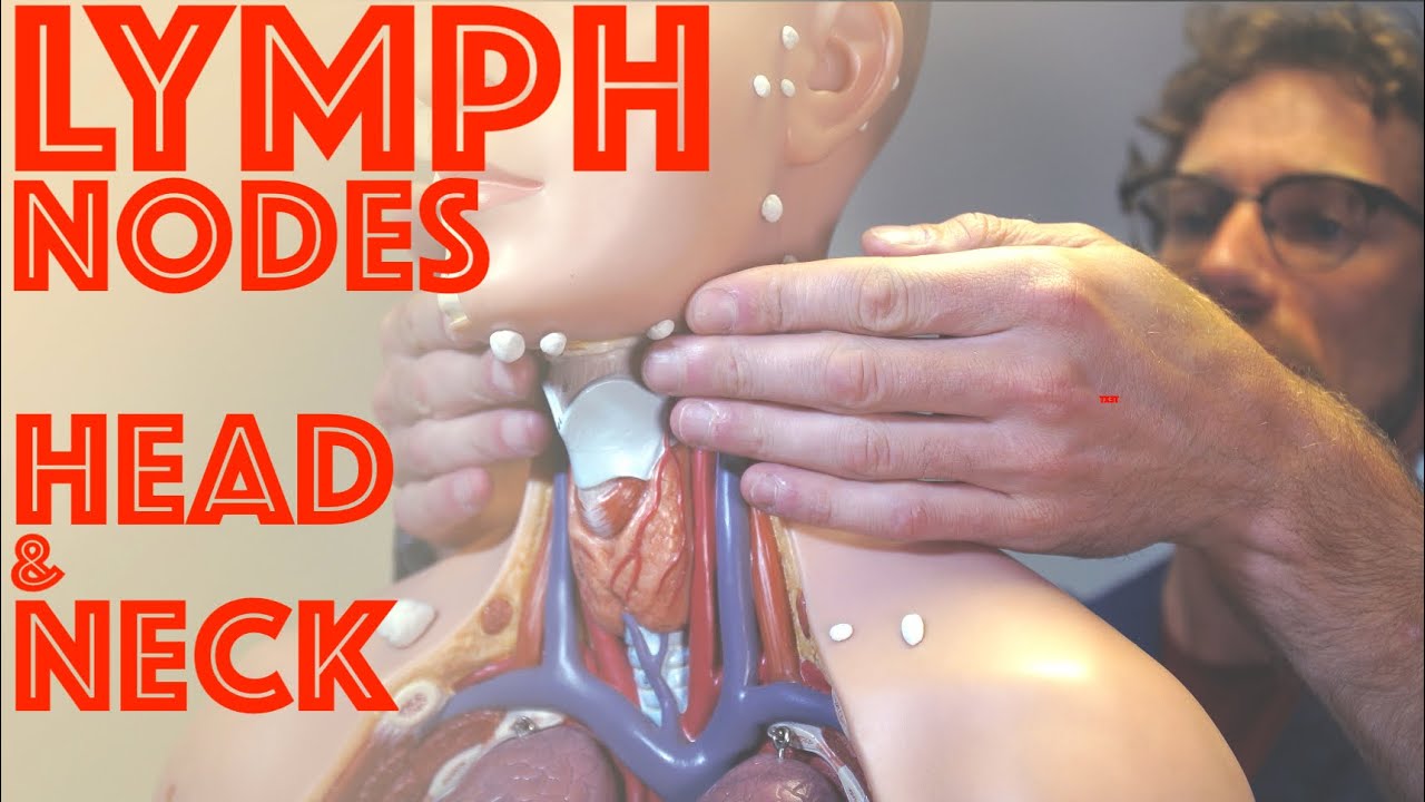 Clinical Examination of Head and Neck Lymph Nodes - Clinical Skills - Dr Gill