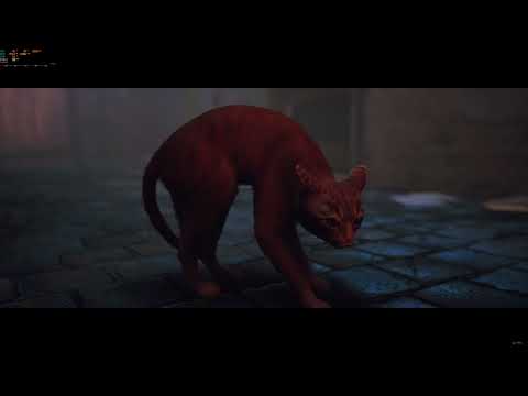 Steam Community :: Video :: [4K\RT] Stray - PC - Ray Tracing on -RTX ...