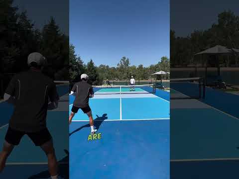Unreal pickleball court 😍