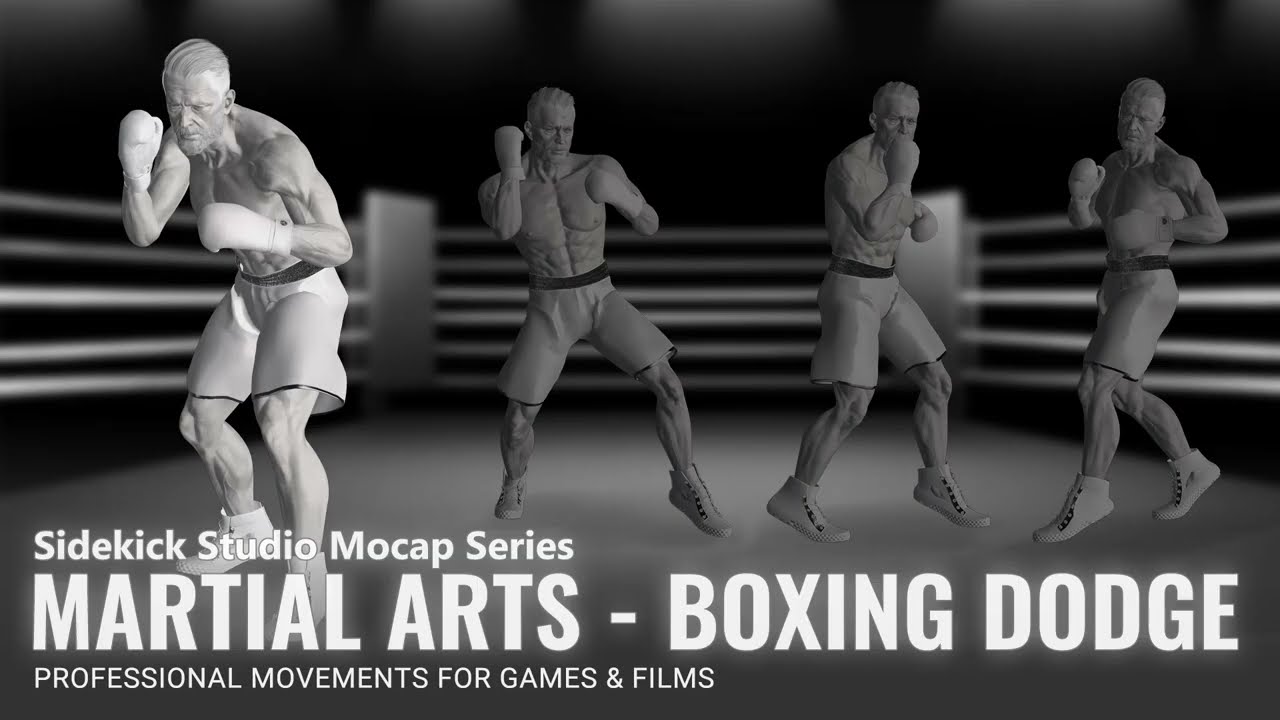 Sidekick Studio Mocap Series Martial Arts Animation- Boxing Dodge Pack