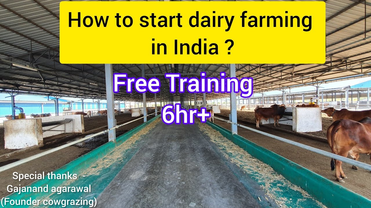Dairy farming in india #agriculture #motivation #cow #murraha #gk #training