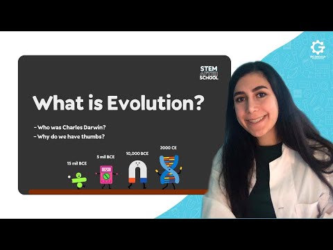 What is Evolution? [What in the World are Darwins Finches!?]