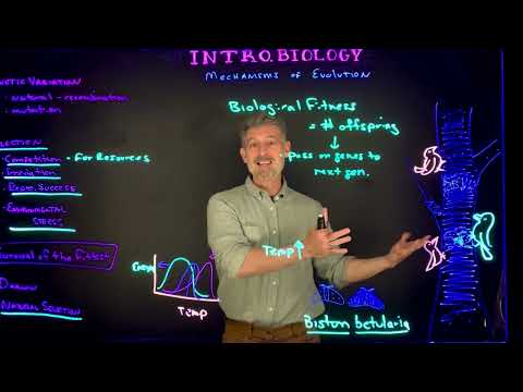 Overview of Natural Selection and Biological Fitness