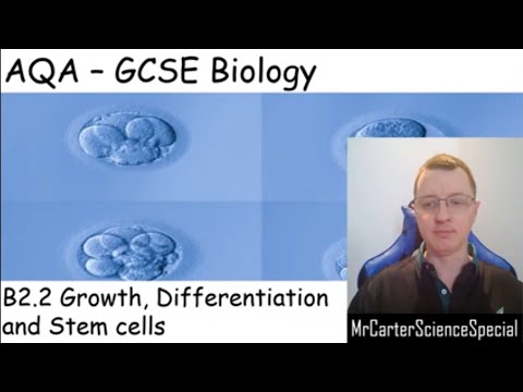 B2.2 - Growth, Differentiation and Stem Cells - AQA Biology GCSE 9-1