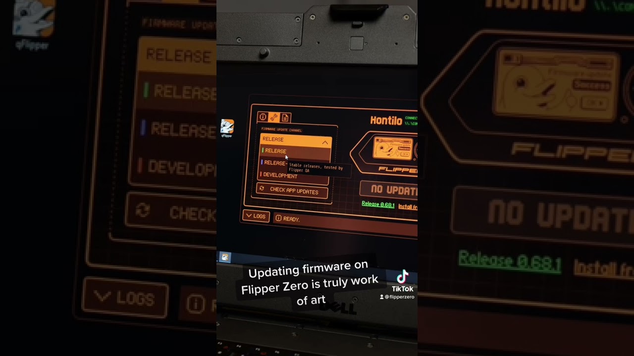 The process of updating firmware on Flipper Zero looks like a truly work of art #flipperzero