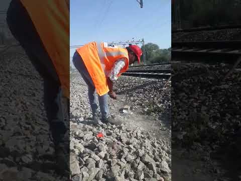 Railway Group D Trackman Work ||#shorts #groupd #trackman #life @motivationalhubshorts