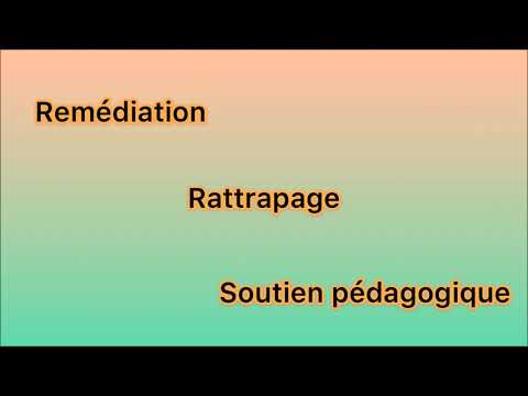 le déroulement de la séance de remediation .