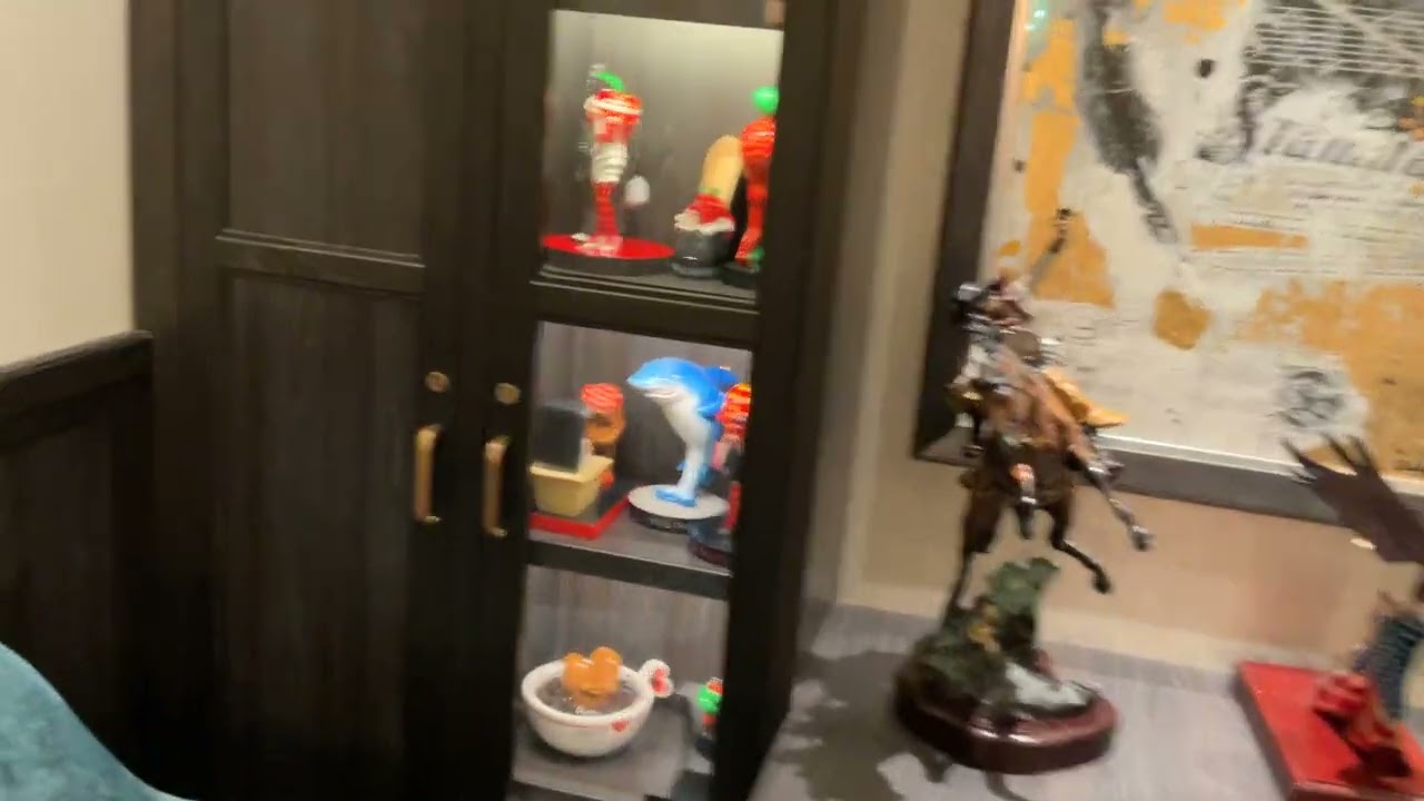 Carnival Panorama library tour