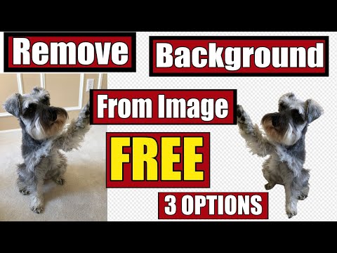 Remove Background From A Picture: 3 FREE Ways!