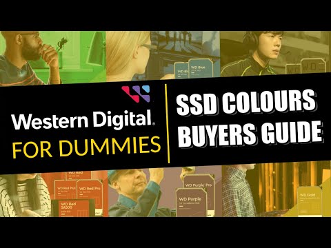 An Idiots Guide to WD SSDs - A Buyers Guide WD Colours SSDs