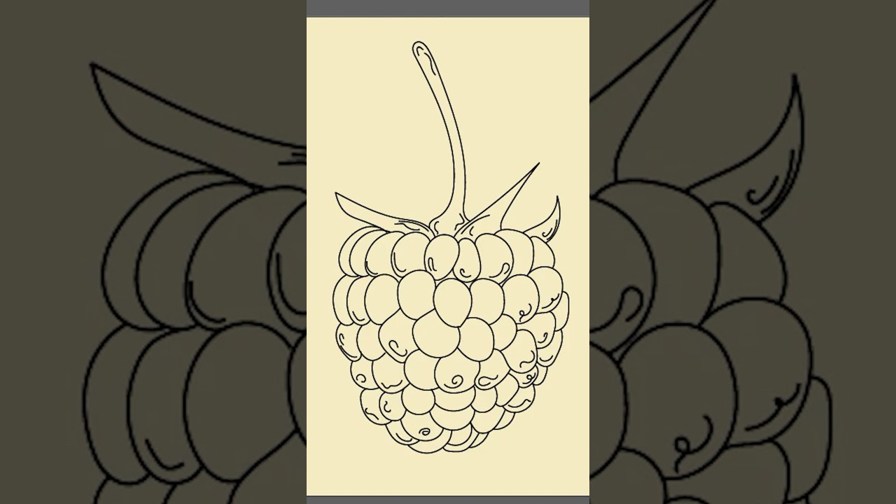 Drawing raspberry vector illustrator in under 10 mins #vectorart