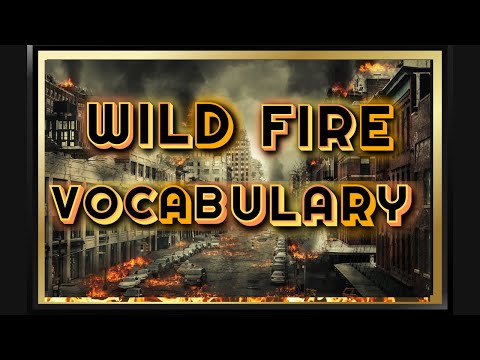 Wildfire Vocabulary | The Lesson for Comprehending Trendy Articles ,Magazines, Newspaper, and More.