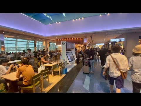 Tokyo Haneda International Airport Full Tour - Best Aircraft Viewing Deck?