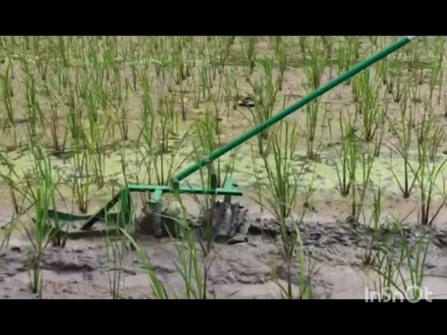 Agricultural Machines - Semi-Automatic Hand Wheel Hoe Manufacturer from ...