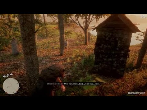 Red Dead Redemption 2: Braithwaites' Secret
