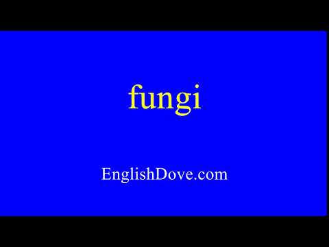 How to pronounce fungi in American English.