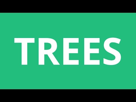 How To Pronounce Trees - Pronunciation Academy