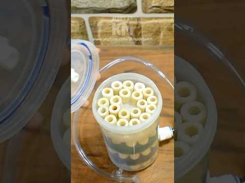 😍 This DIY Canister Filter is Perfect for Nano Aquariums