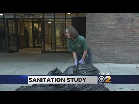 NYU Professor Hauls Garbage