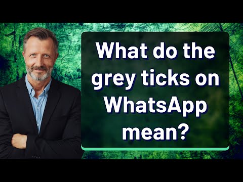 What do the grey ticks on WhatsApp mean?