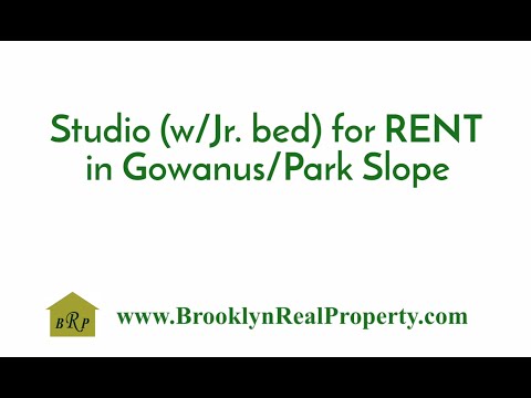 Large Studio Apartment for RENT in Gowanus/Park Slope