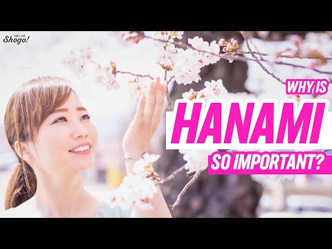 Why Japanese are Obsessed with Cherry Blossoms