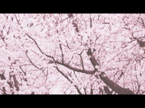 은혜아니면 찬양 julia