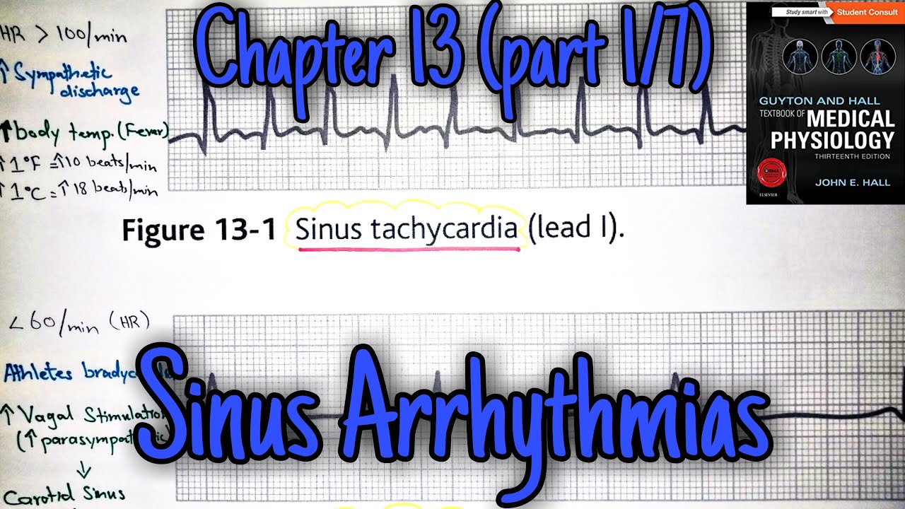 Sinus tachycardia and bradycardia - chapter 13 (part 1/7) - Guyton and Hall text book of physiology.