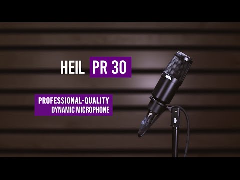Heil Sound PR 31 BW - Dynamic Microphone | Reverb