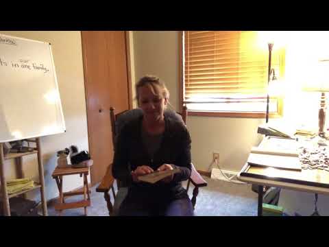 Tuck Everlasting Introductory book talk