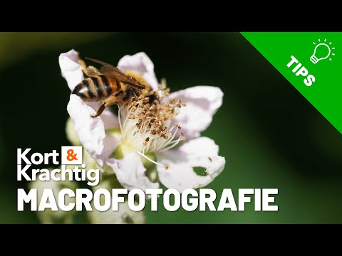 Buiten aan de slag met Macrofotografie - Kort & Krachtig - Kamera Express
