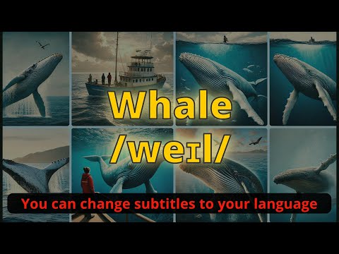Whale meaning with 5 examples
