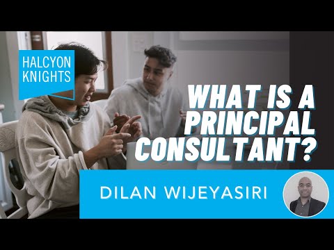 What is a Principal Consultant? Roles at Halcyon Knights.