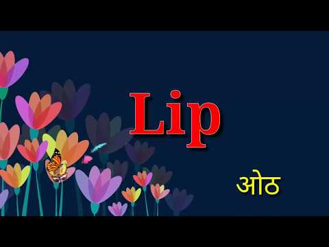 English Vocabulary Words With Meaning।Starts with L