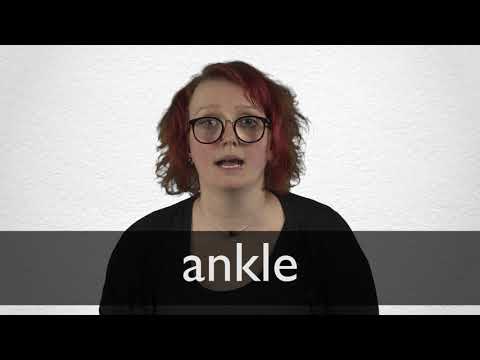 Traducción en español de “ANKLE” | Collins Diccionario inglés-español