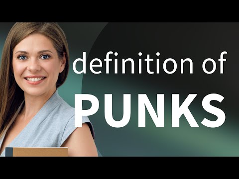 Punks | what is PUNKS meaning