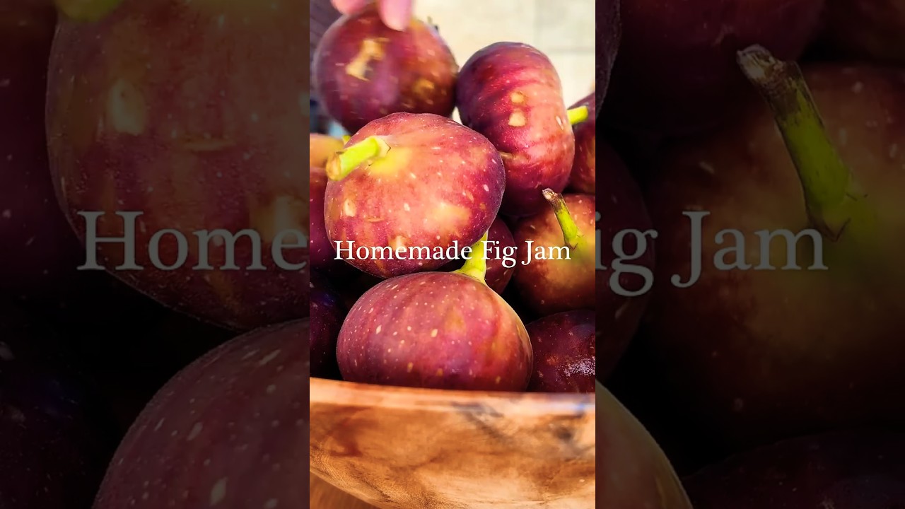 Making Fig Jam with My Mom 🍯