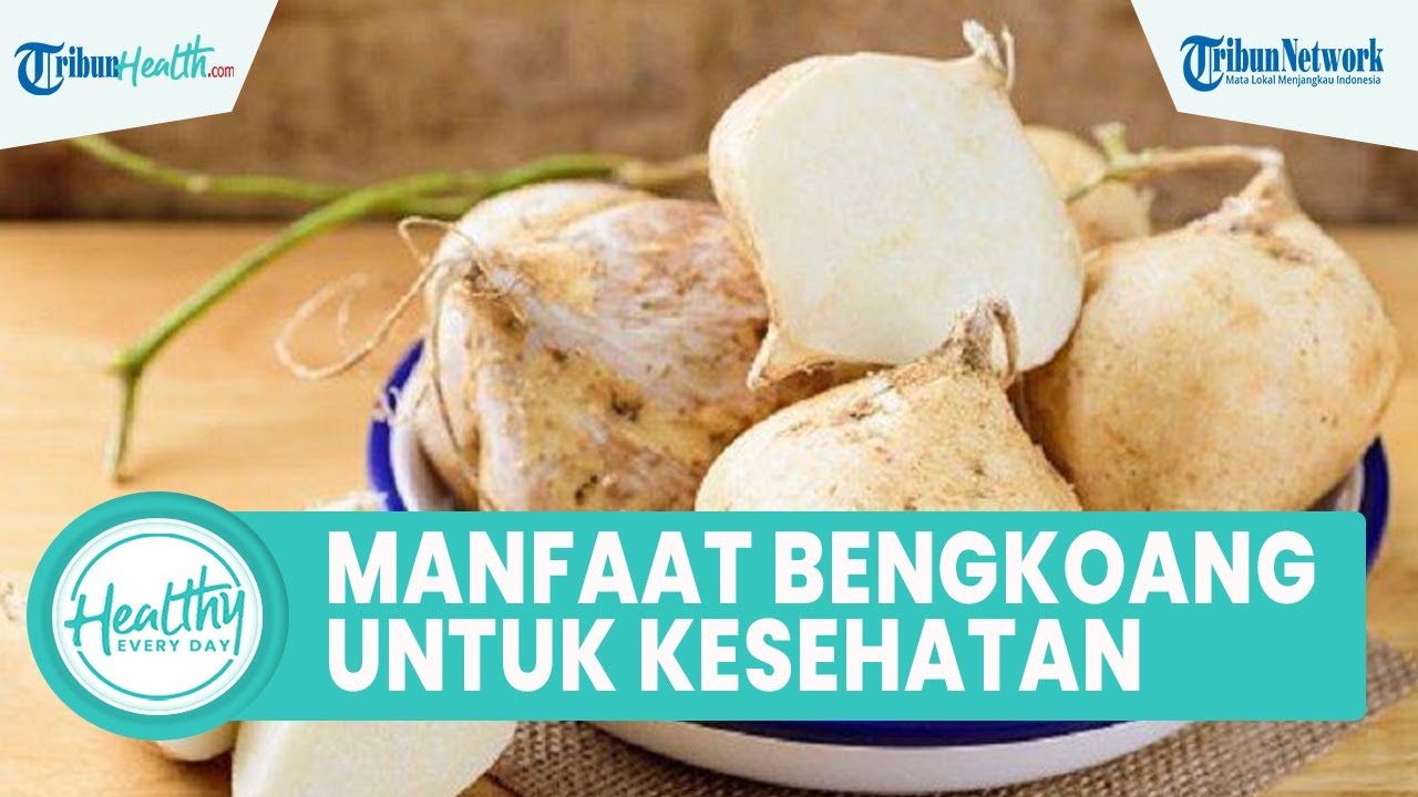 Sederet Manfaat Bengkoang untuk Kesehatan Tubuh: Cegah Penyakit ...