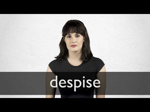 How to pronounce DESPISE in British English