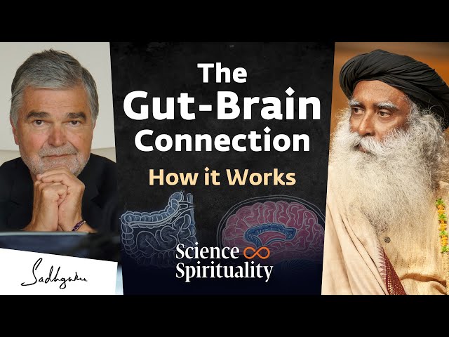 Exploring the Gut Microbiome: The Connection Between Fermented Foods ...