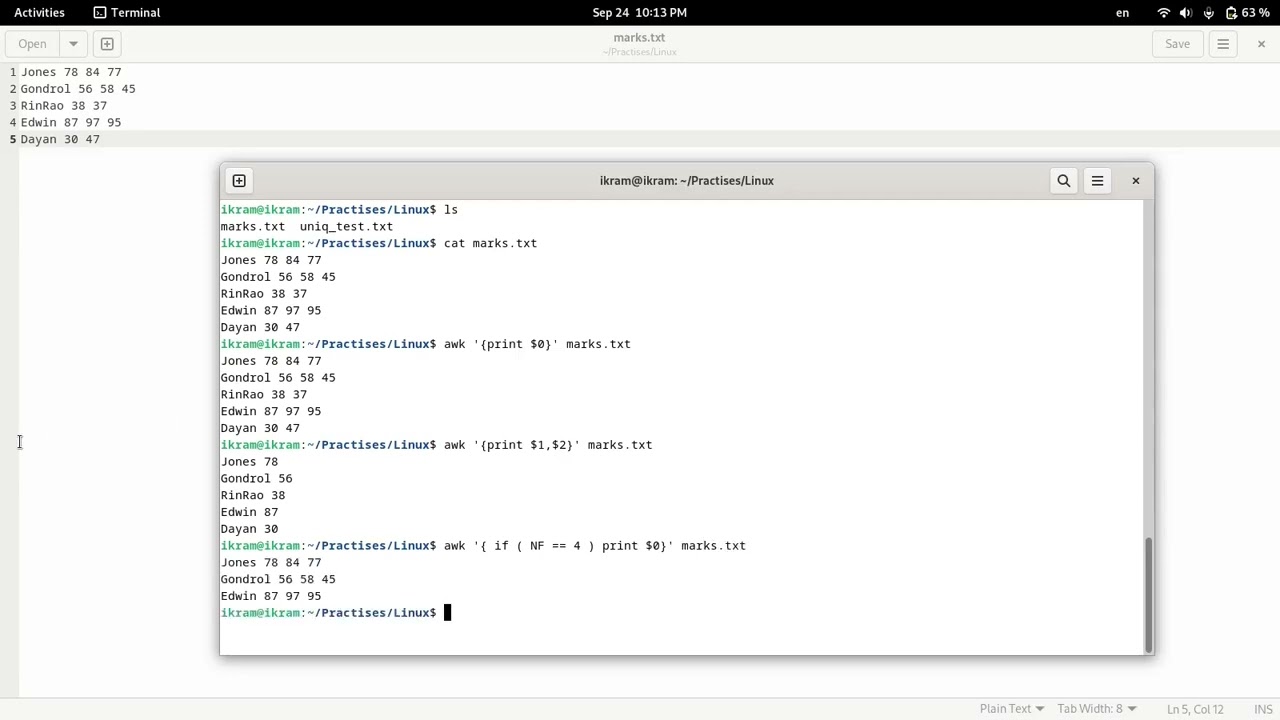 Linux Fundamentals: awk command