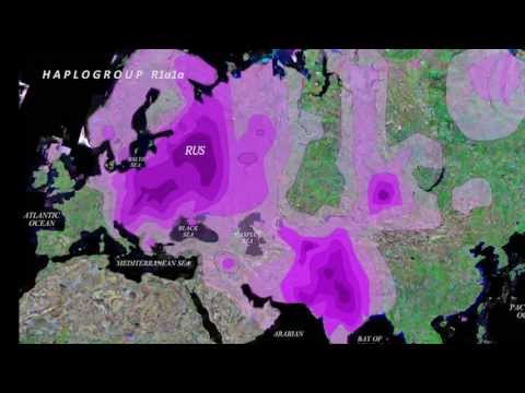 Haplogroup R1a1a