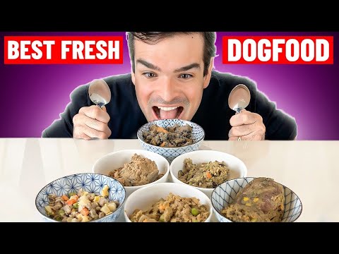 Best Fresh Dog Food Delivery Brands (I Eat & Rate Them All)