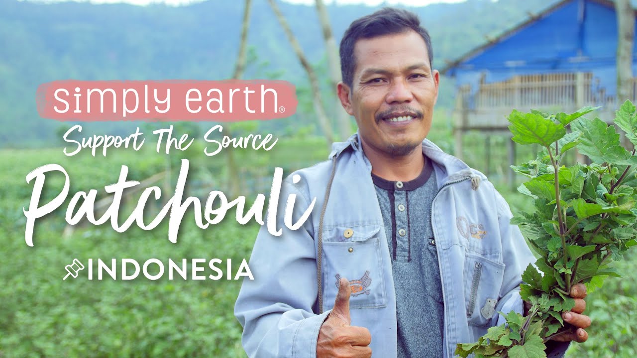 Patchouli: Straight From A Family Farm In Indonesia