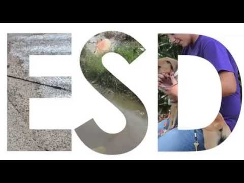 ESD Working For You - Code Compliance Division