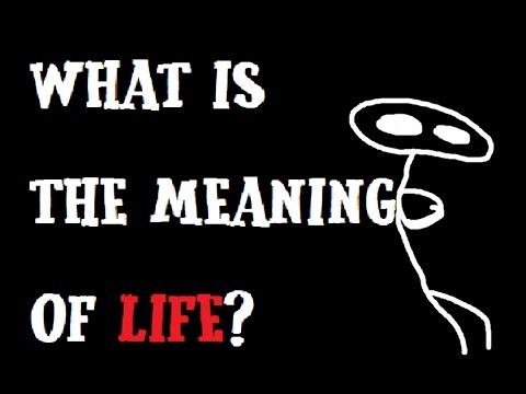 How To Be a Cynic: Existential Crisis