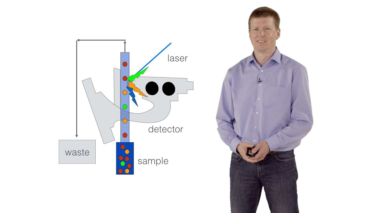 FACS - Fluorescence Activated Cell Sorting - Steffen Schmitt (DKFZ)
