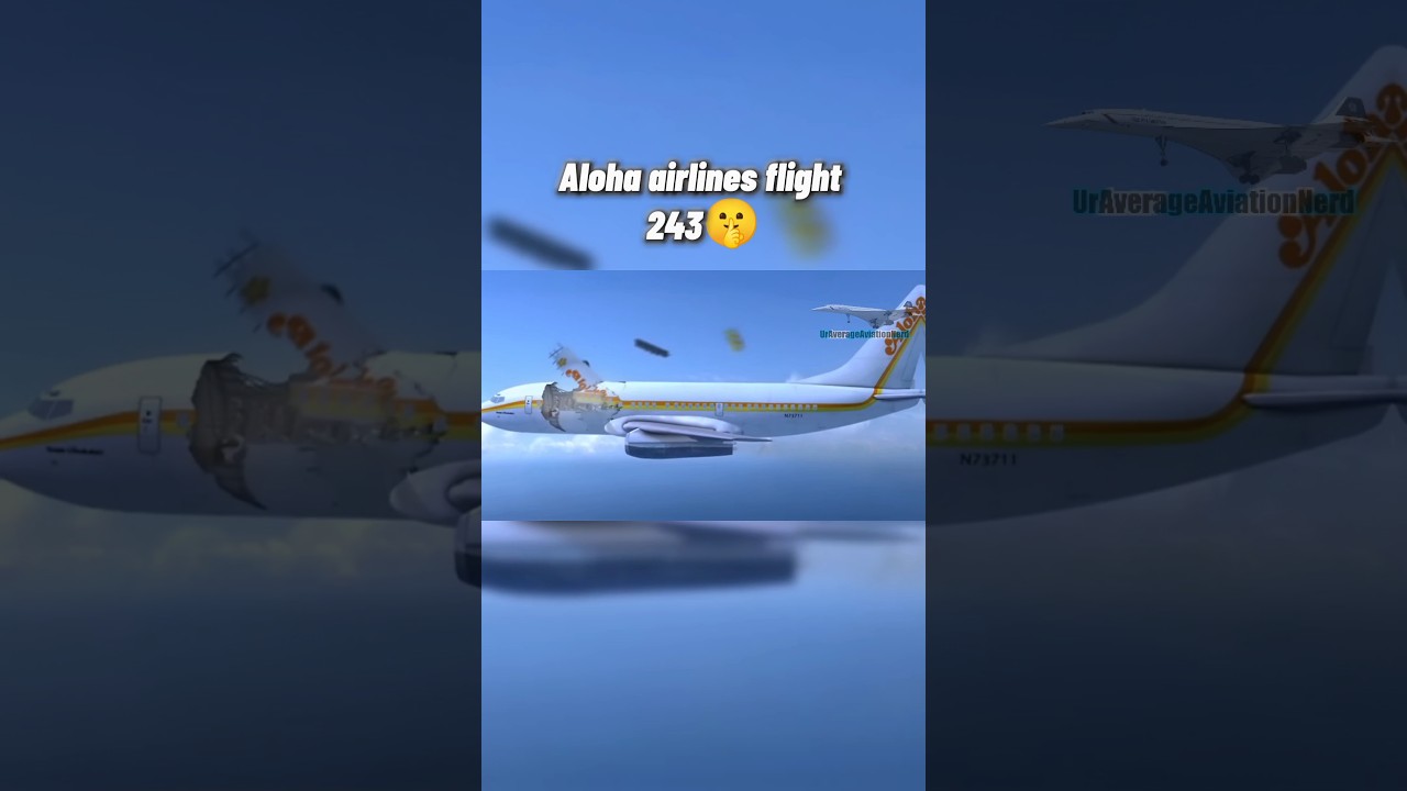 The flight that survived breaking up Midair🤯 #aviation #automobile #edit #crash