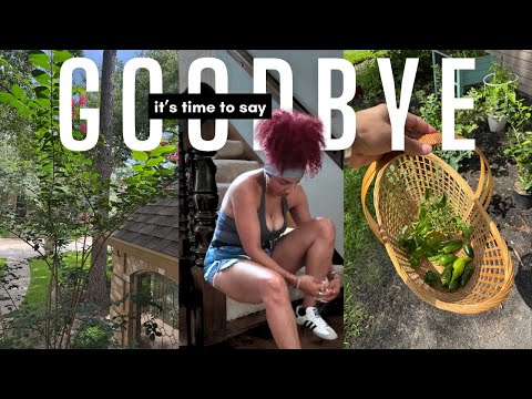 Time to Say Goodbye | Losing Friends, Life Transitions, Garden Updates & It's Summer! | S25 Ep. 19